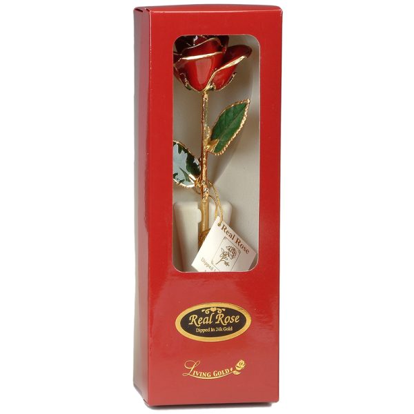 Red Rose in Gold (January) - Living Gold Co.