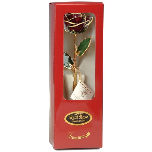 Burgundy Rose in Gold (February) - Living Gold Co.
