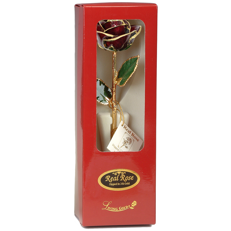 Category: Roses - Living Gold Co.