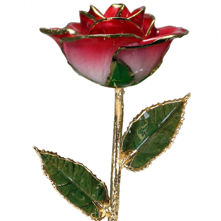 2-Tone Red Rose in Gold (January) - Living Gold Co.