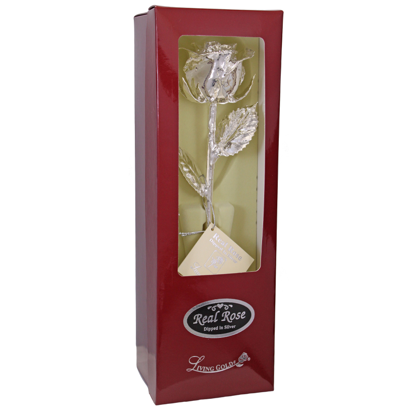 Venus Rose in Gold - Living Gold Co.